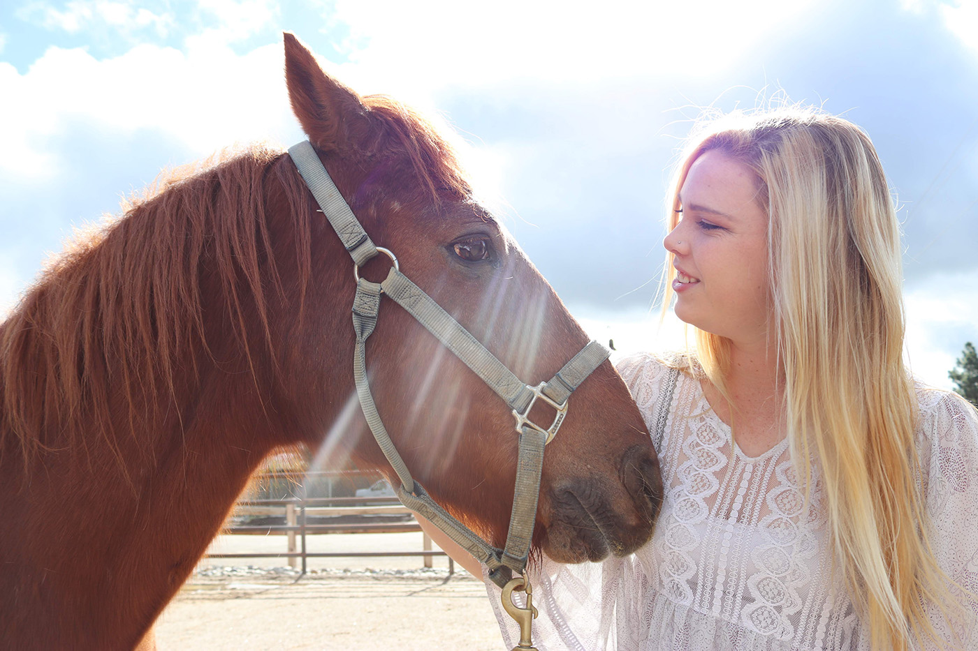 Meet the students who care for Musty the Mustang, Cal Poly's live ...
