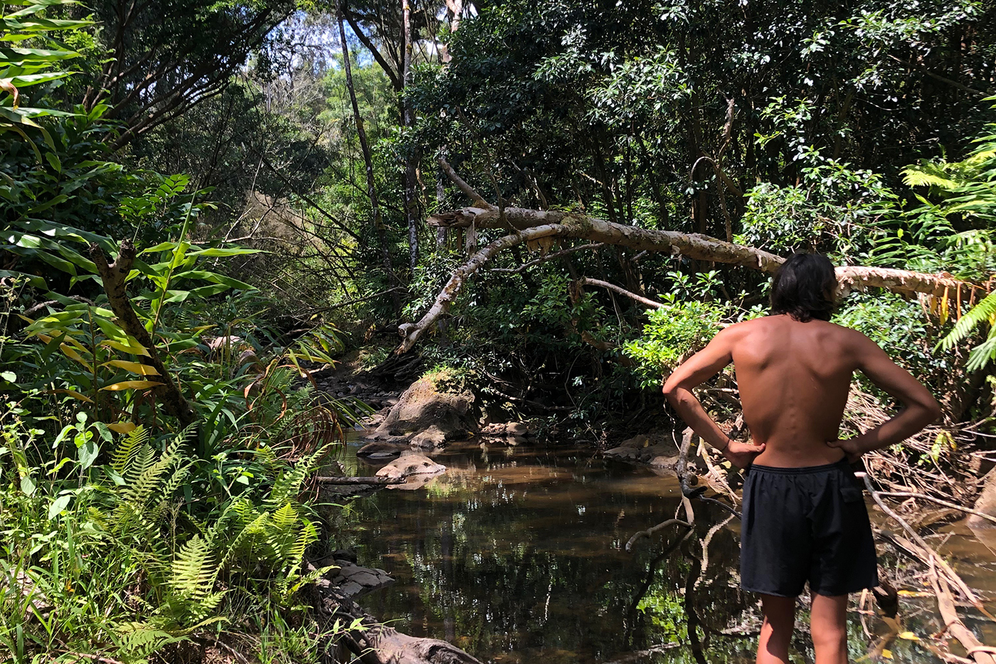 Sleeping under a mango tree: How the summer of a lifetime came from ...
