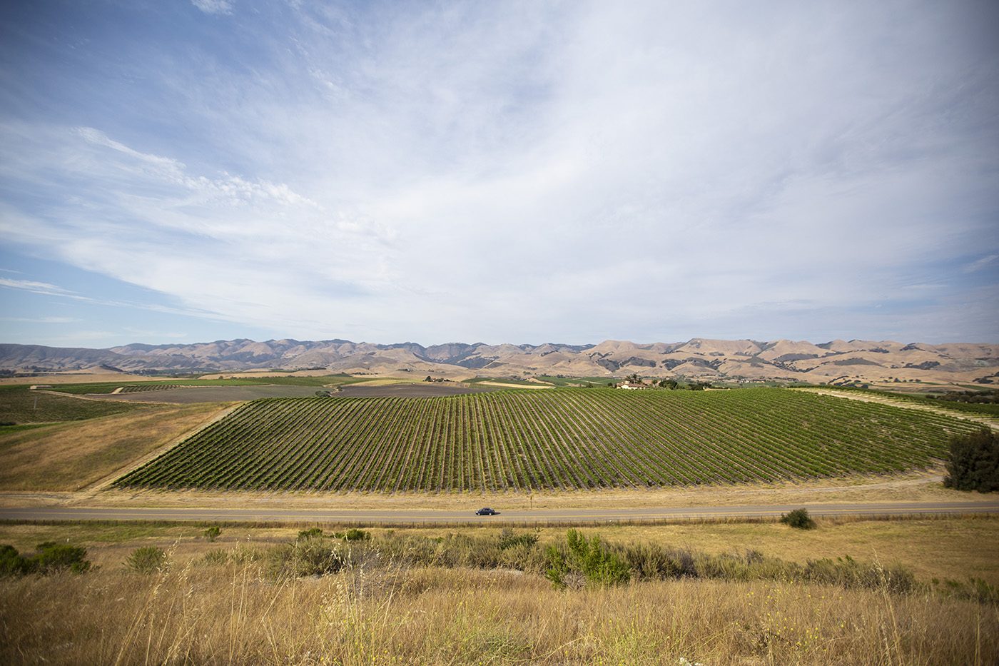 slo lack of tourism - Mustang News