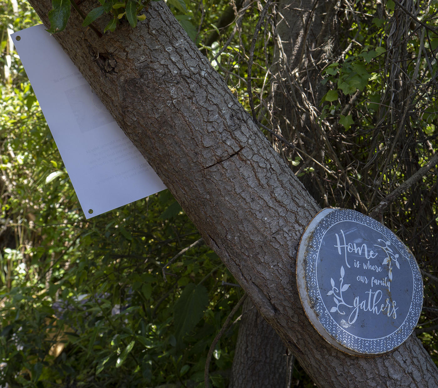 “Nowhere to go”: Morro Bay homeless encampment on Vistra-owned land ...