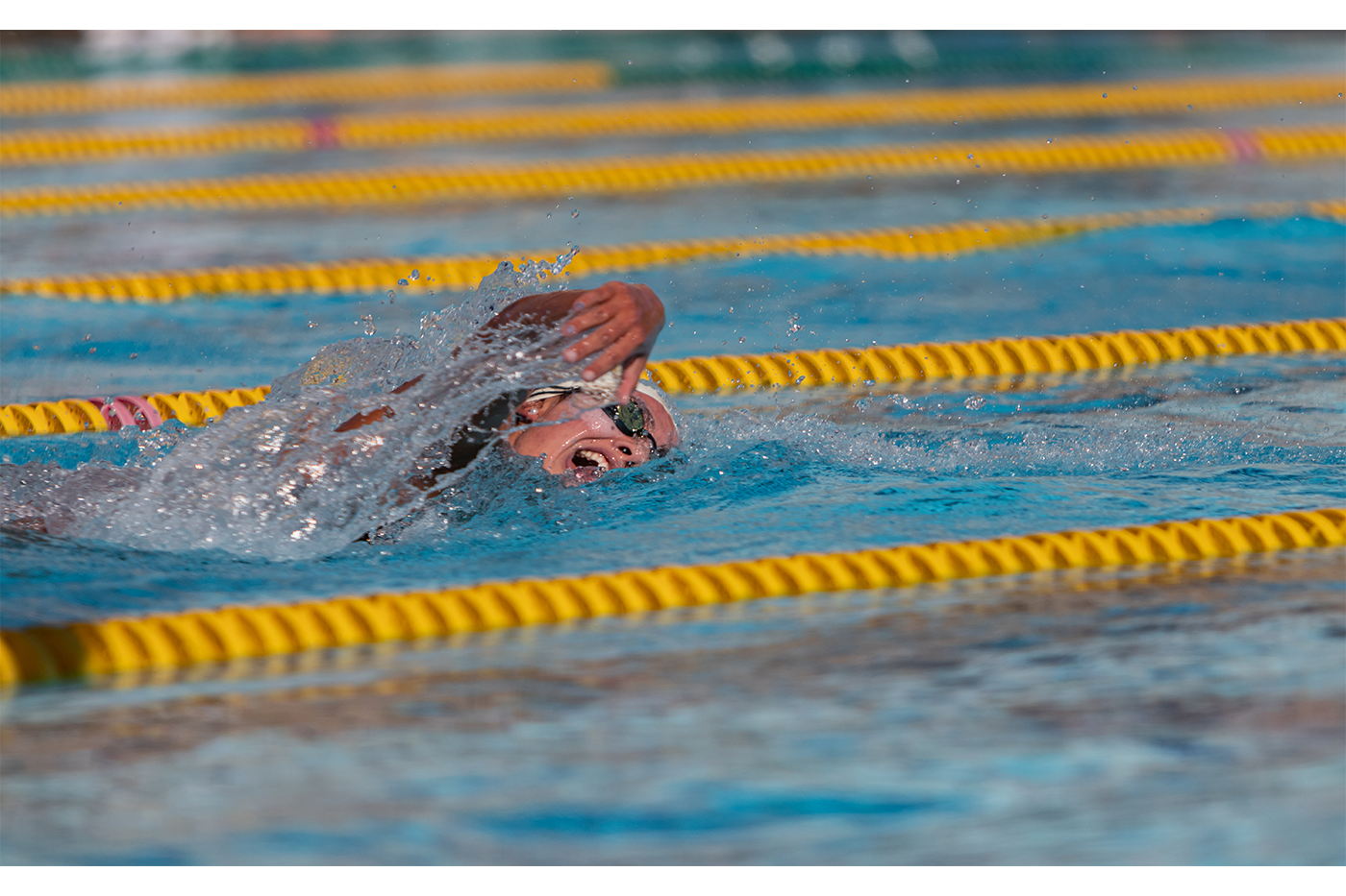 Cal Poly Swim and Dive coach put on leave after multiple abuse ...