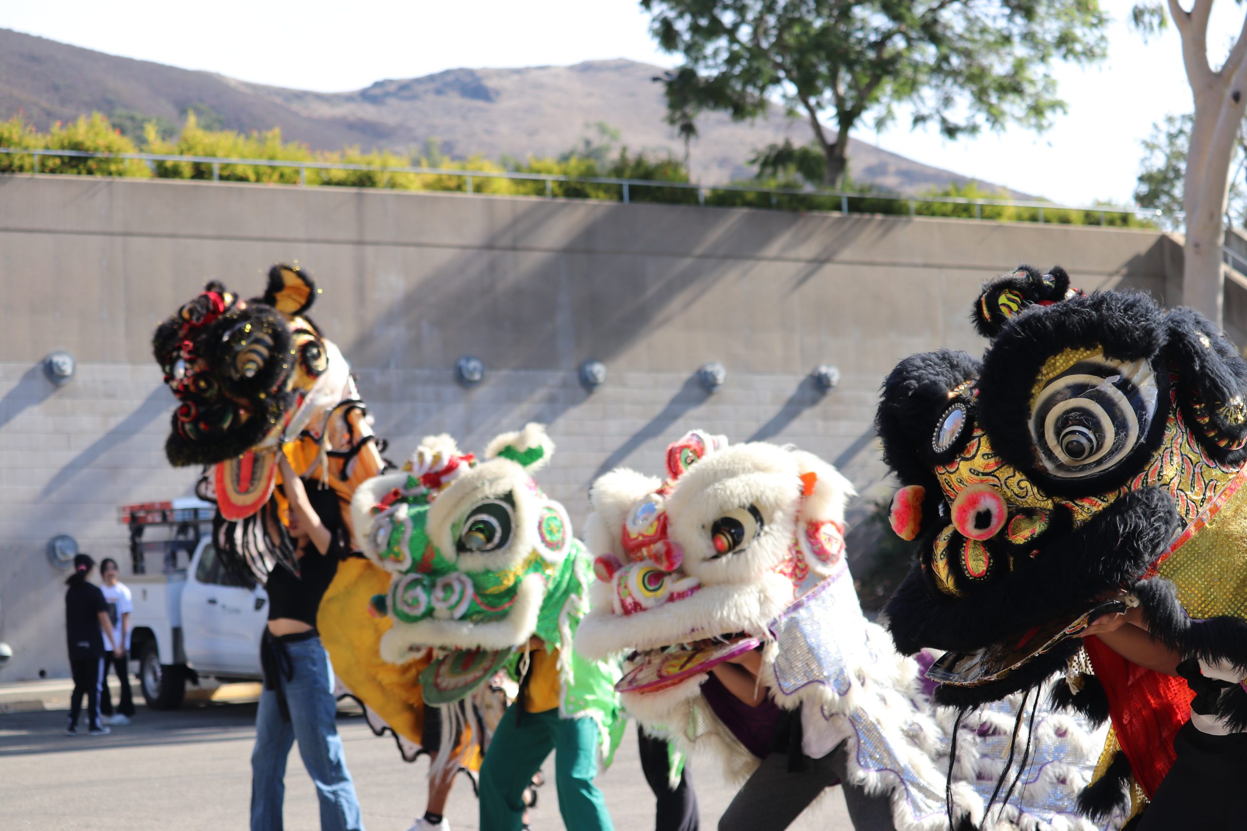 Legacy of the lion: The Cal Poly Lion Dance Team shares Chinese culture ...