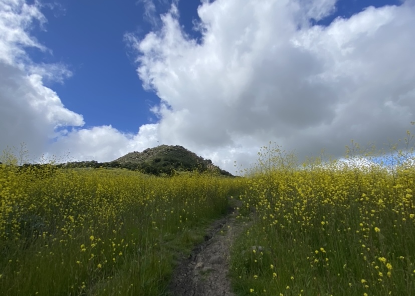 SLO becomes one of 119 cities on global ‘A List’ for climate action ...