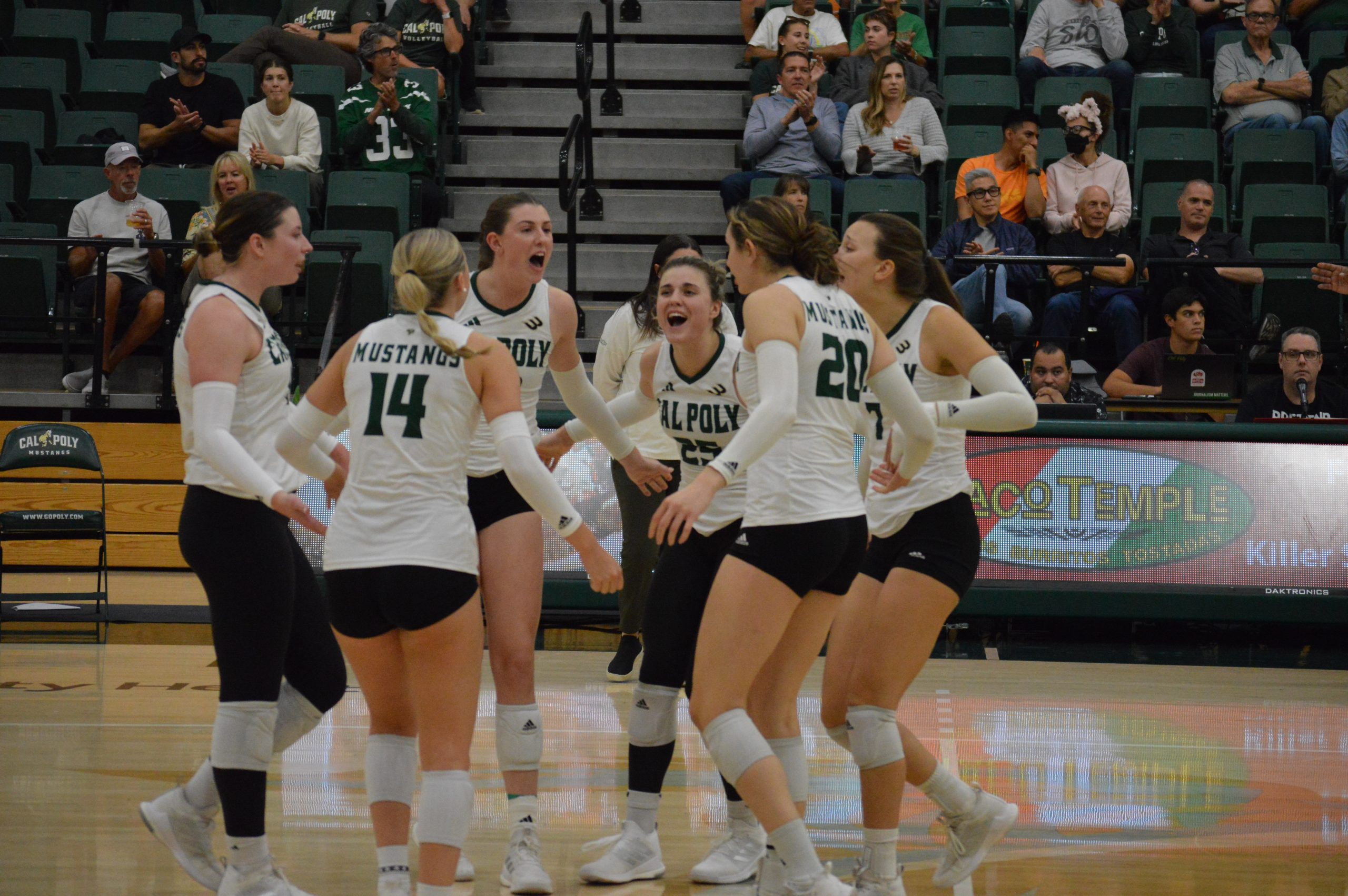 ‘They have all the experience from last year’: How Cal Poly Volleyball ...