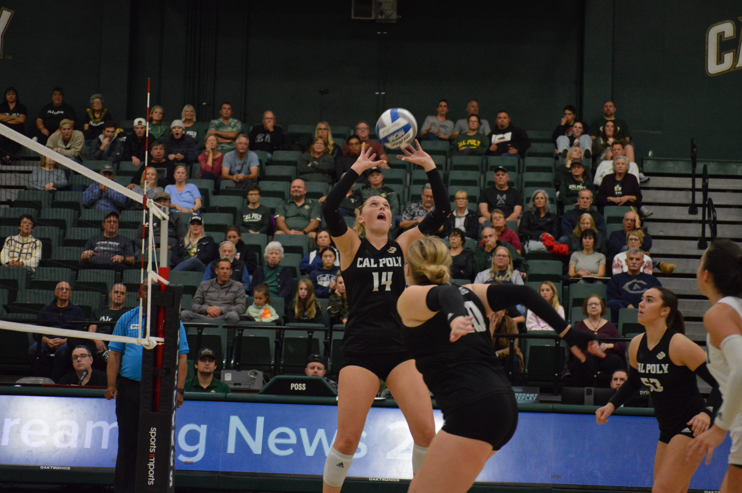 Cal Poly Volleyball opens Big West play with wins over CSUN and CSU ...