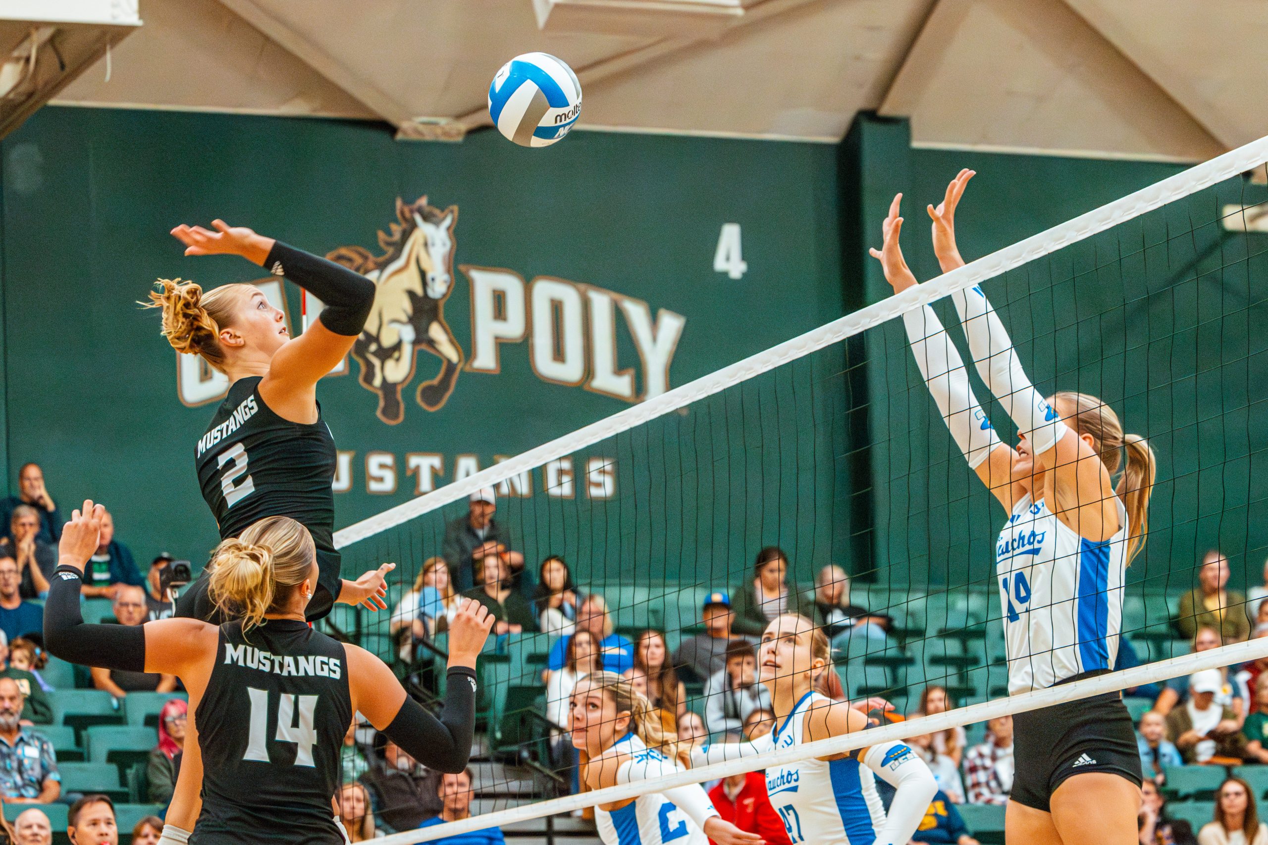 Cal Poly Volleyball fends off Long Beach State in five sets on the road ...