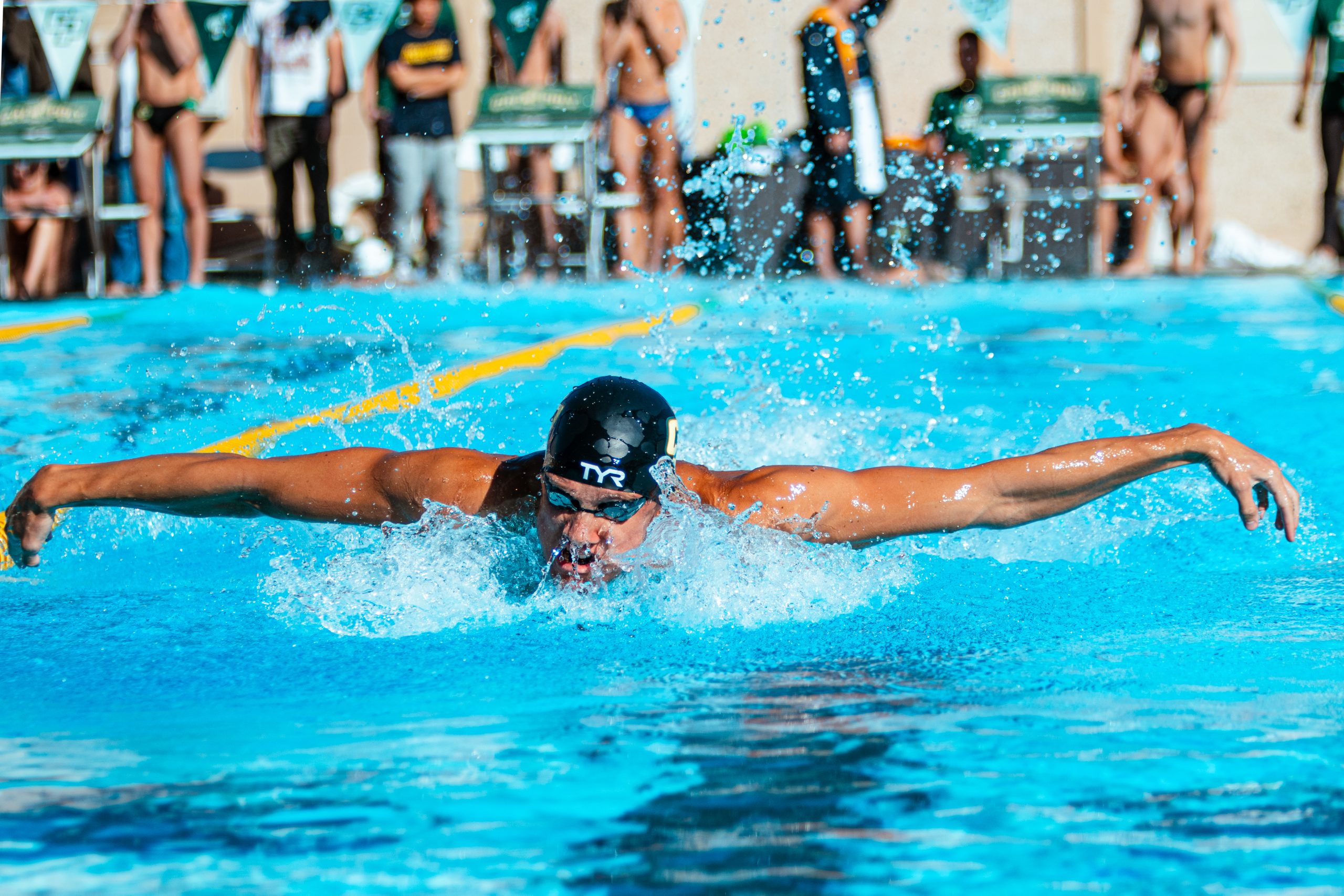 Yoo, Huston take gold as Cal Poly Swimming and Diving competes at Big ...