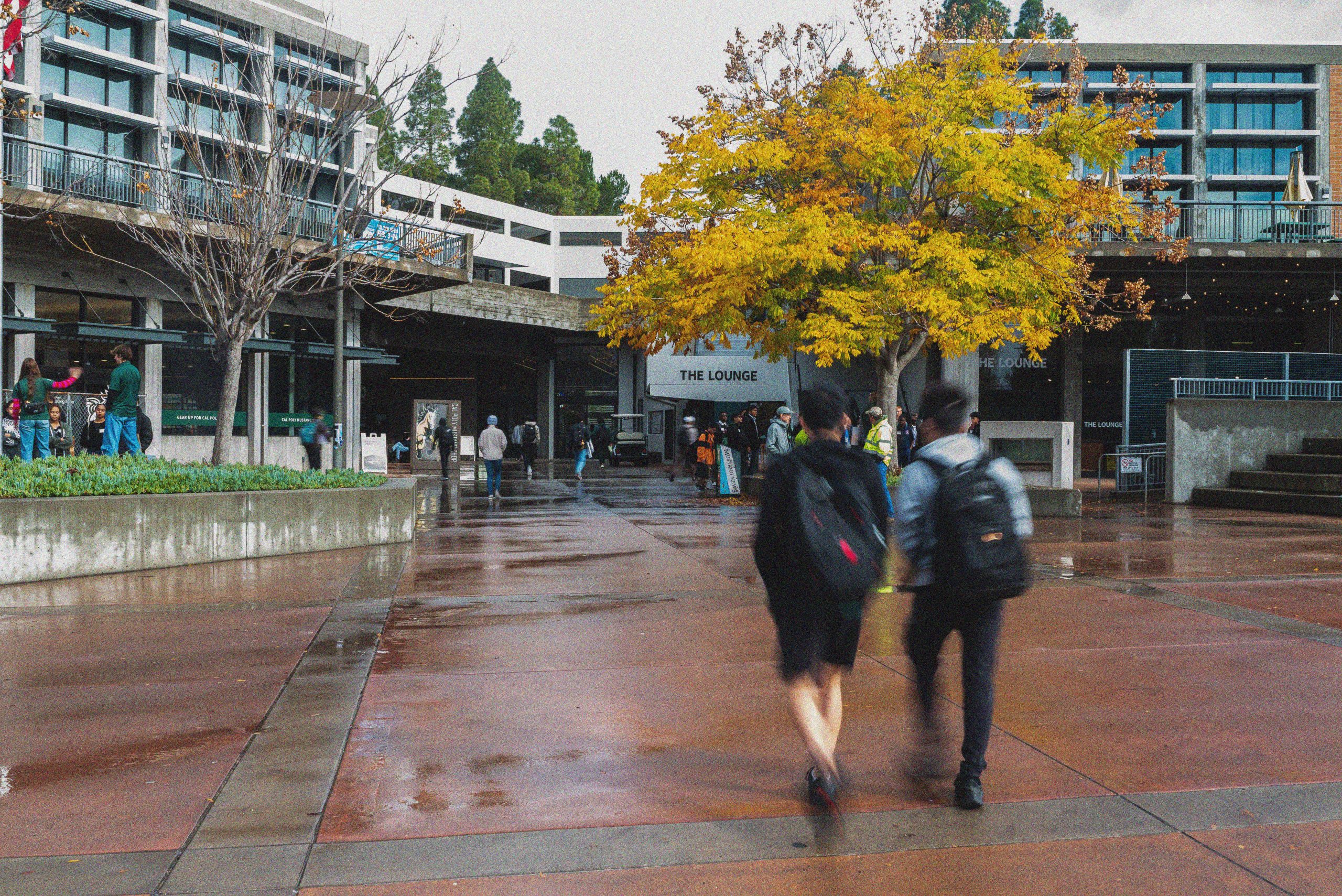 New degree options at Cal Poly's 2+2 program expansion - Mustang News