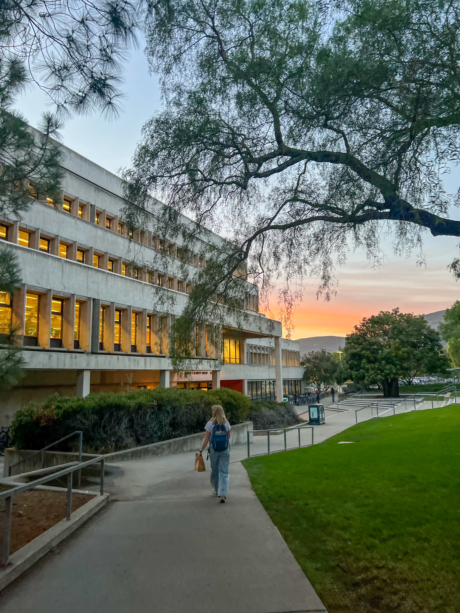 $80M Kennedy Library renovation: Student reactions - Mustang News