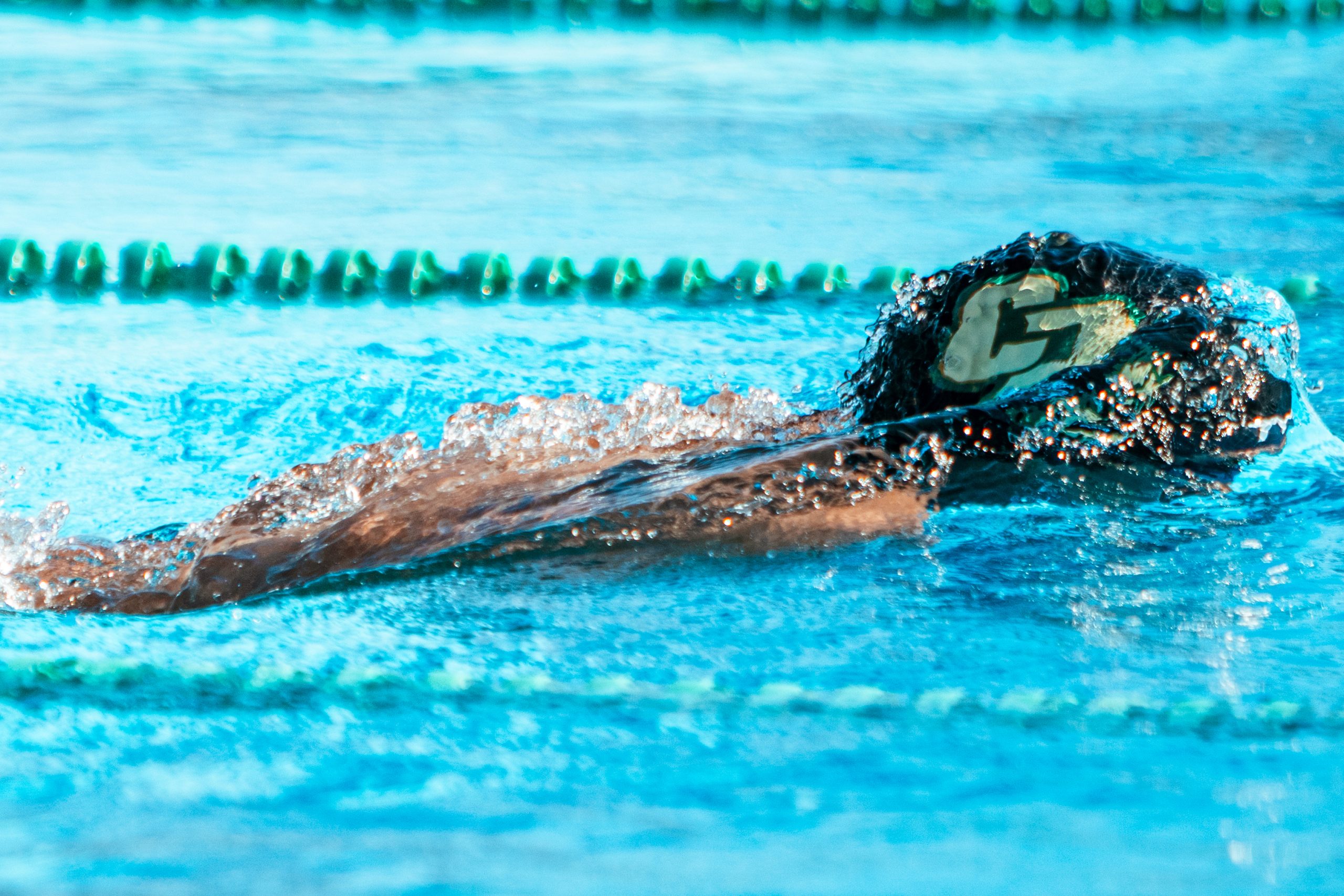 Cal Poly cuts swim and dive team, cites ‘changing’ NCAA landscape ...