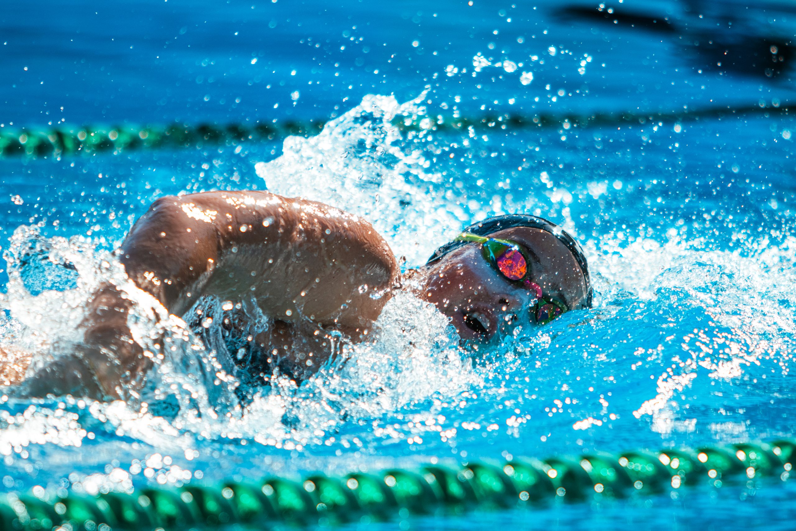 Cal Poly Swim and Dive athletes battle for reinstatement after team cut ...