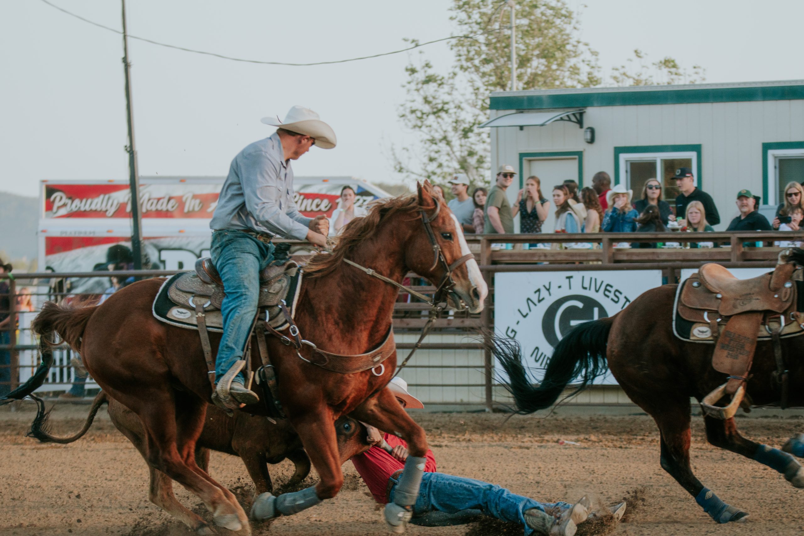 Cal Poly Rodeo ranks No. 1 in The West, drawing thousands to Poly Royal ...