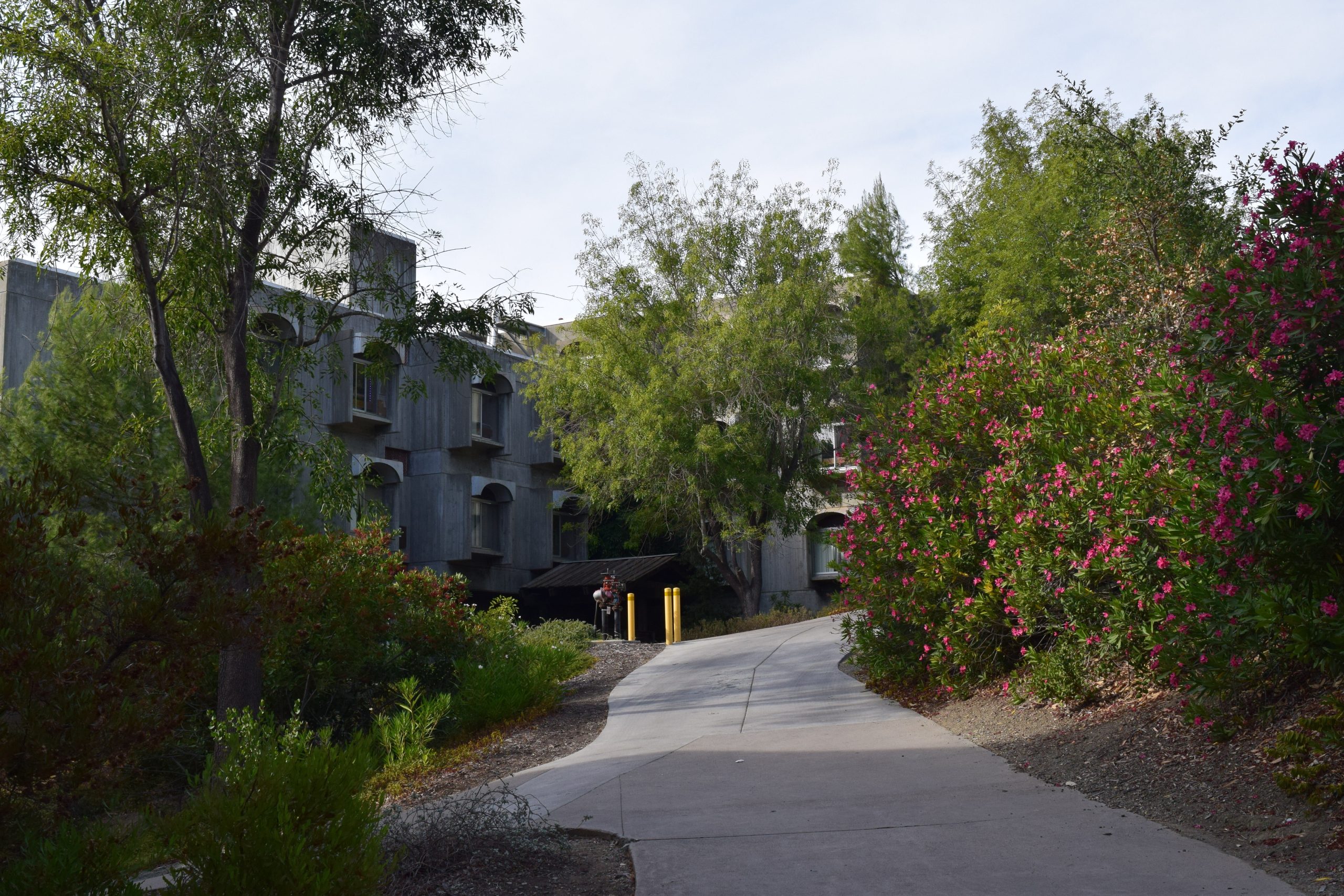 Two Cal Poly students fell from dorm windows - Mustang News