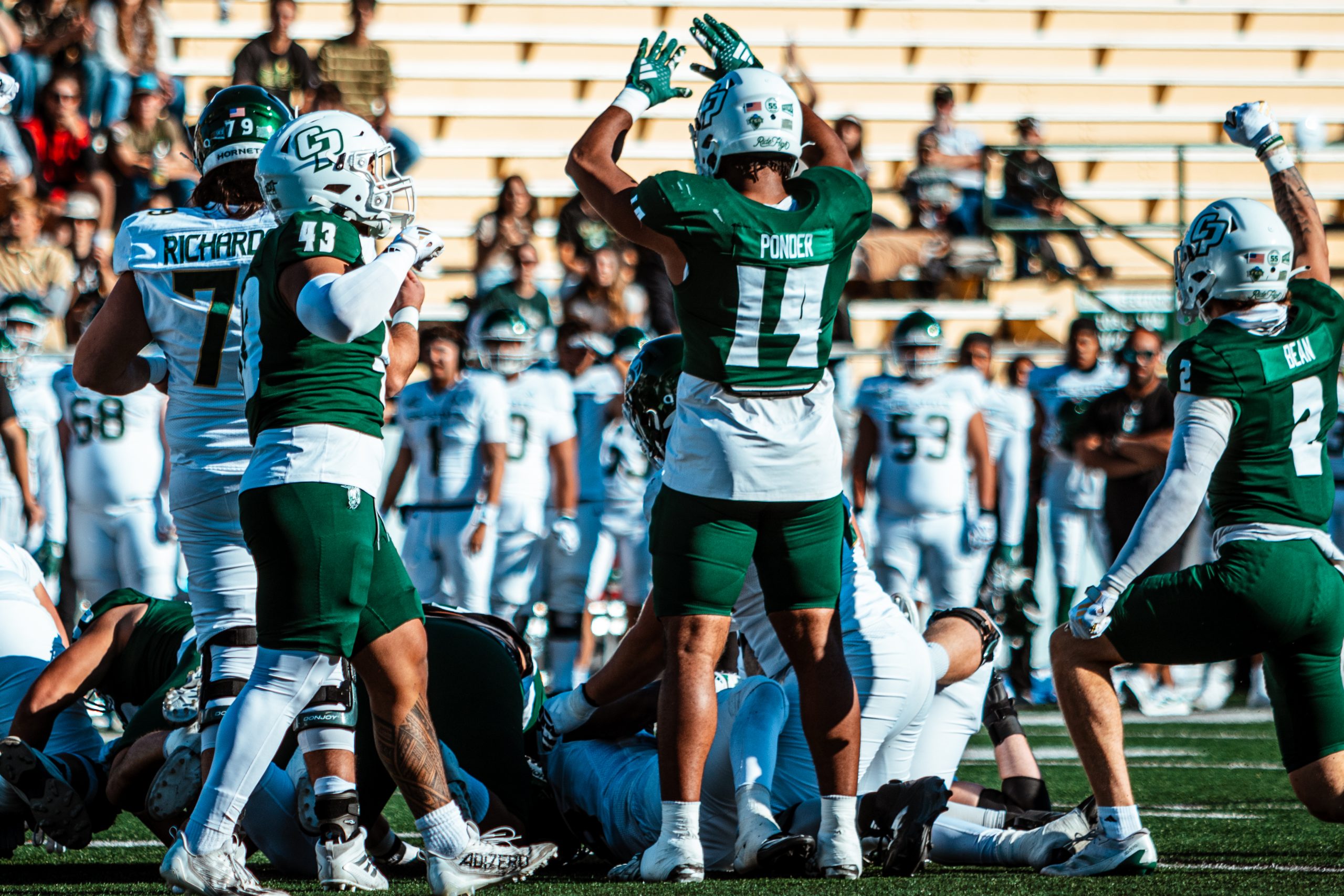 Inside Elijah Ponder’s transition from Cal Poly to New England Patriots ...