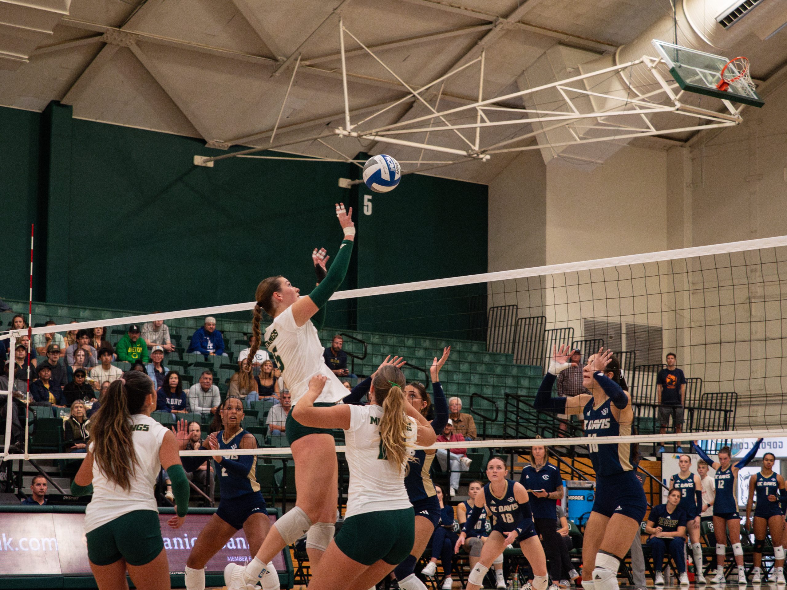 Cal Poly Volleyball push win streak to eight with pair of weekend wins ...