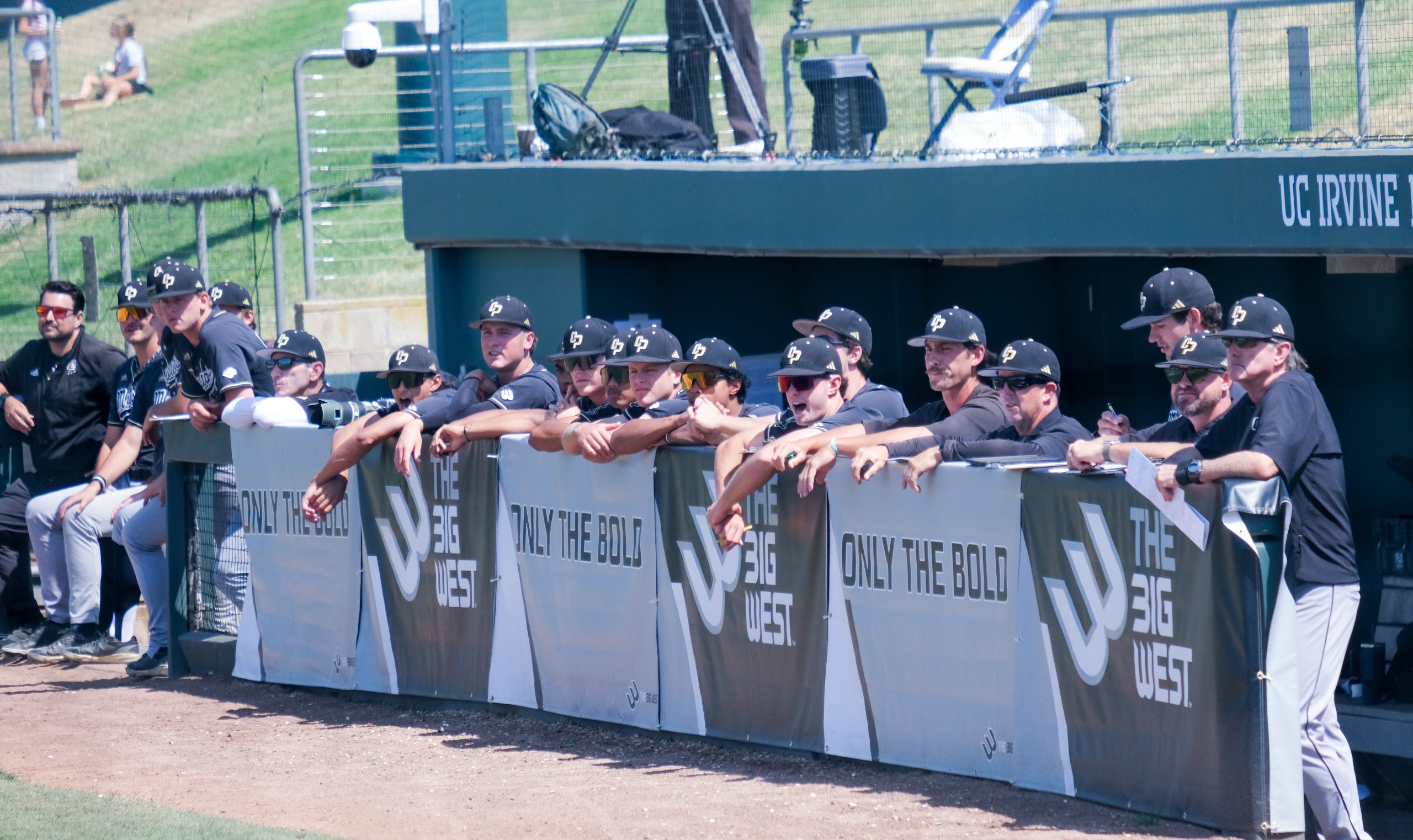 LIVE: Cal Poly Baseball competing at 2026 Big West Tournament - Mustang ...